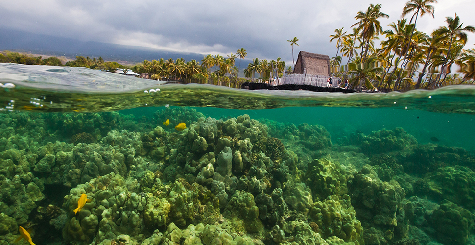 Adventure Travel Hawaii Custom Trips | Off the Beaten Path